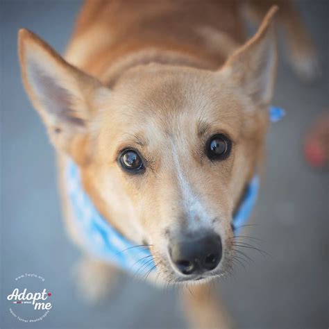 Bambi Twylas Friends