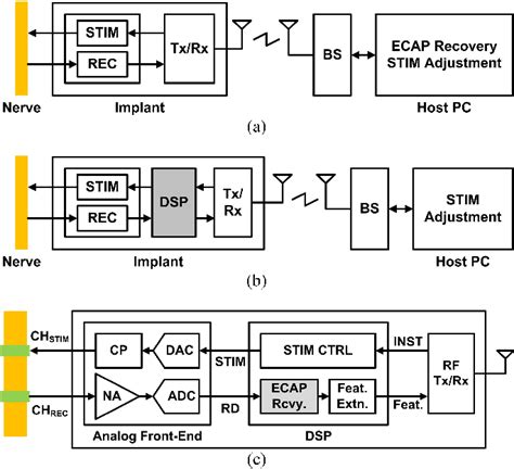 Figure 1 From A DSP Architecture For Distortion Free Evoked Compound Action Potential Recovery