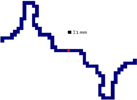 Example Of A Self‐avoiding Sa Antenna Generated By The Backtracking