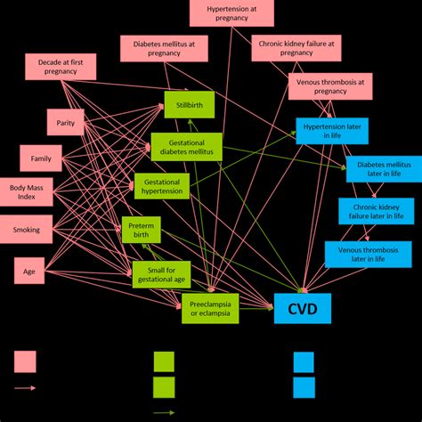 Figure S1 Directed Acyclic Graph Dag Cvd Cardiovascular Disease