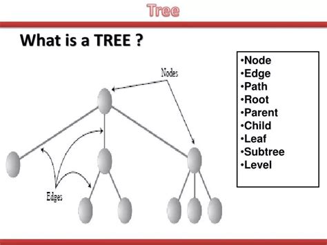 PPT Tree PowerPoint Presentation Free Download ID 1131404