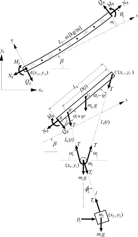 Free Body Diagram Of The Elastic And Rigid Parts Download Scientific