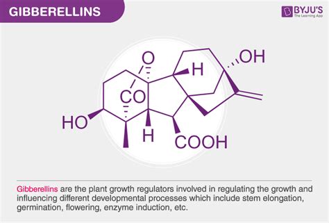 Gibberellins Structure Function And Its Applications