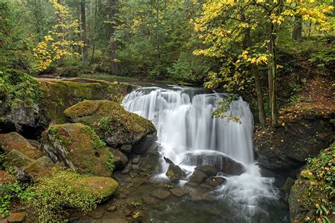 Whatcom Falls Park In Bellingham