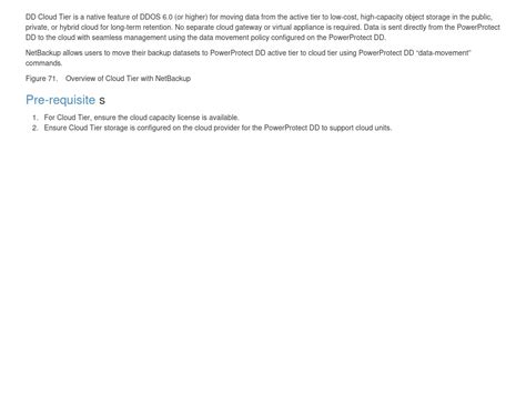 Overview Dell Powerprotect Data Domain With Veritas Netbackup Configuration Guide Dell