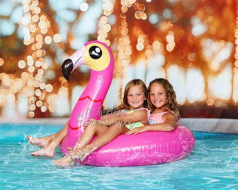 Check Elementary School Added A Check Elementary School