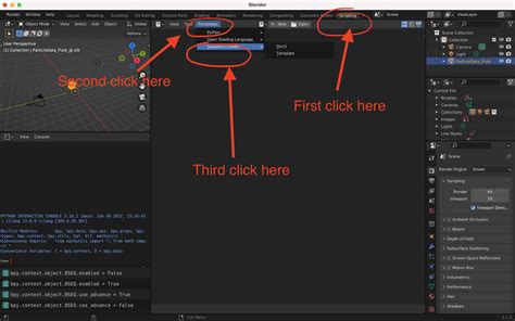 Custom Script — Blender Sequence Loader 032 Documentation