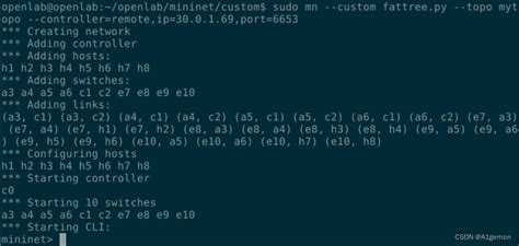 【sdn学习日记】（3）mininet多数据中心网络拓扑流量带宽实验 iperfmulti csdn博客