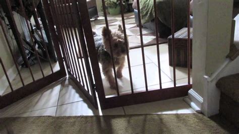 Crazy Eagles Fans Vlog 32 Youtube