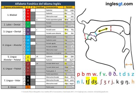 Abecedario Fonetico En Inglés Lista De Fonemas En Ingles Pwmv
