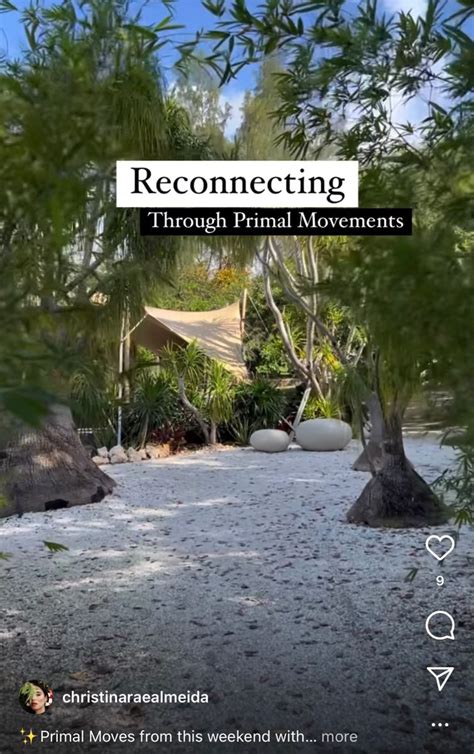 Primal Movements Primal Movement Primal Movement