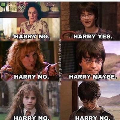 50 Harry Potter Memes That Will Harry Potter Funny Harry Potter Memes Harry Potter Cast