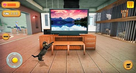 Pussycats Kitten Game Cat Sim For Android Download