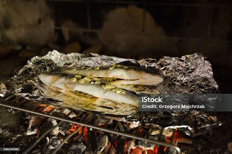 마늘 조각과 로즈마리를 호일에 얹은 두 개의 농어와 전통적인 이탈리아 그릴 그 아래에는 빛나는 석탄이 있습니다 0명에 대한 스톡 사진 및 기타 이미지 Istock