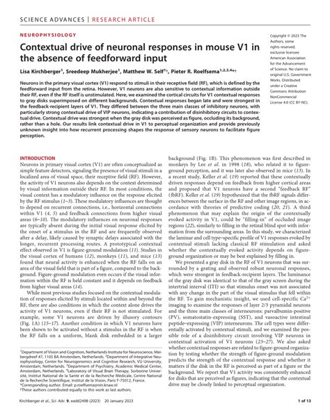 Pdf Contextual Drive Of Neuronal Responses In Mouse V1 In The Absence