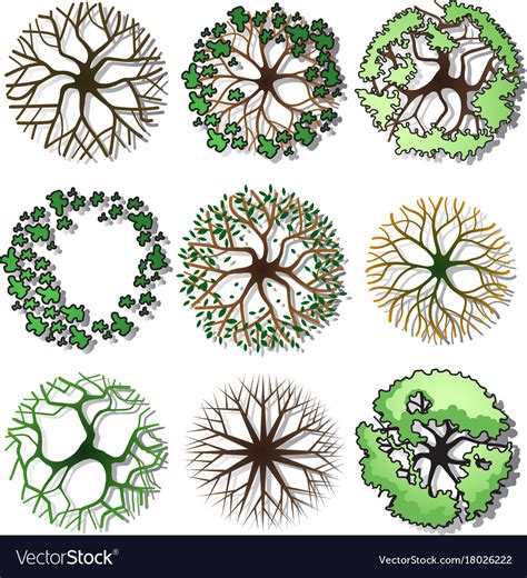 Tree Top Royalty Free Vector Image VectorStock