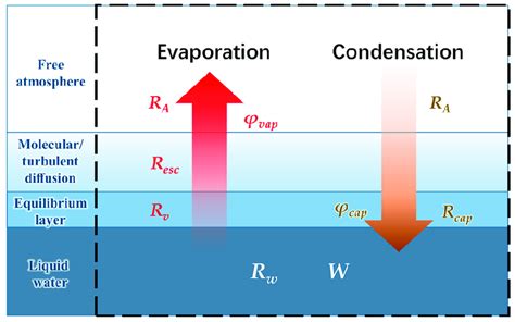 The Craig Gordon C G Model Is Presented In A Schematic Format To Download Scientific Diagram