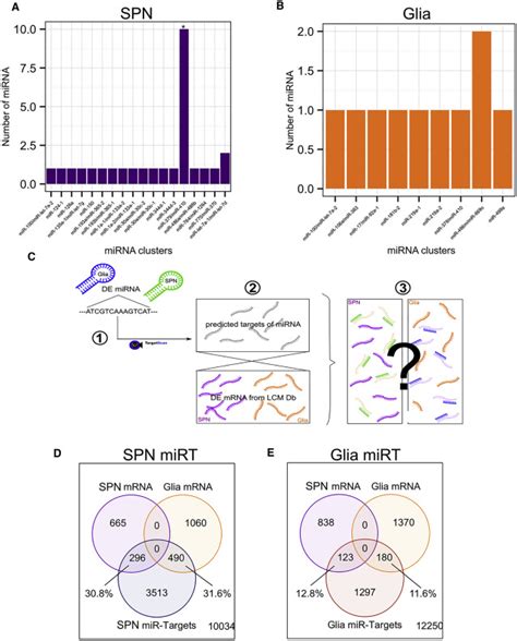 Cell Type Specific Gene Expression Profiling In Adult Mouse Brain Reveals Normal And Disease