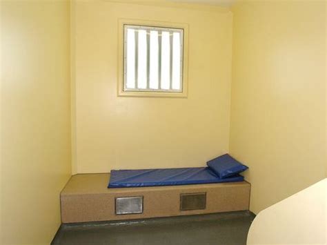 Police Powers Arrest Powers Stop And Search Rights In Custody Teaching Resources