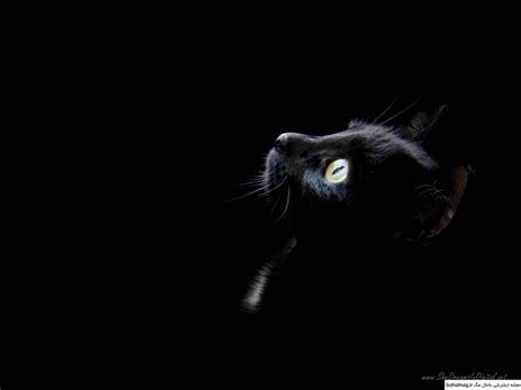 عکس مشکی دانلود ️ بهترین تصاویر