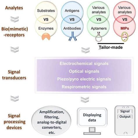 Schematic Representation Of A Biosensor Download Scientific Diagram