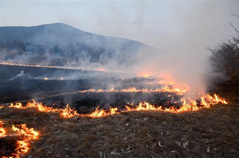 Globally Scaled Detection Of Burned Areas With Remote Sensing Fbk