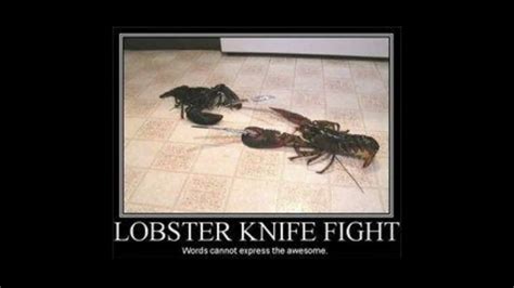 Lobster Knife Fight! - YouTube