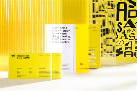 Dass School Professional And Playful Branding And Interior Design