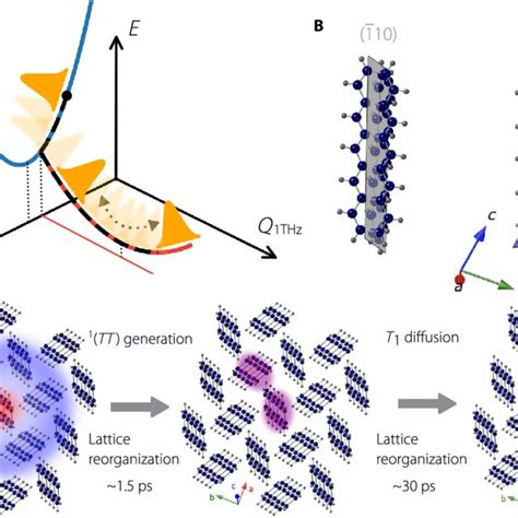 Schematic Illustrations Of Coherent And Incoherent Lattice Dynamics Of Download Scientific
