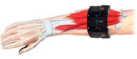 A Novel Surface Electromyographic Signal Based Hand Gesture Prediction
