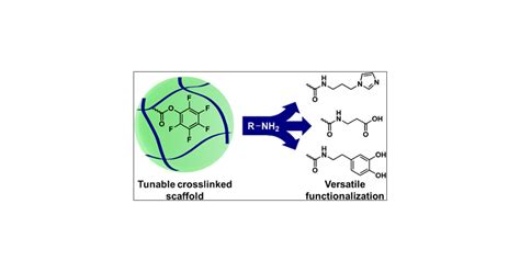 Versatile Synthetic Platform For Polymer Membrane Libraries Using Functional Networks