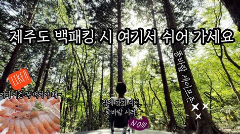 제주도 백패킹 2편 서귀포자연휴양림 비양도 다음날엔 꼭 여기서 쉬세요 이 곳에서 반드시 지켜야 할 것👇 Youtube