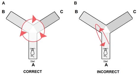 Y Maze The Effects Of Chronic Morphine Administration On Spatial