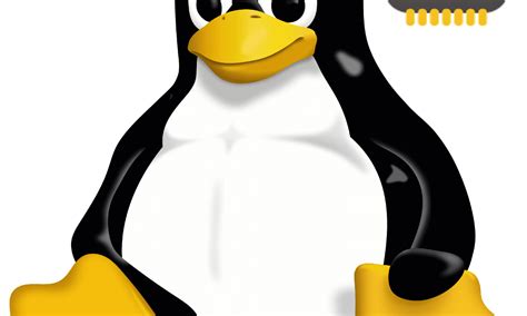 Online Course Linux System Programming And Introduction To Buildroot From University Of Online Course Linux System Programming And Introduction To Buildroot From University Of