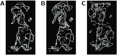 The Possible Outcomes Of The Rigid Registration Algorithm The Possible