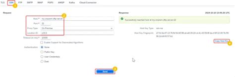 Receiver SFTP Adapter Configuration SAP Integration Suite CPI And PI PO SAP Integration Hub