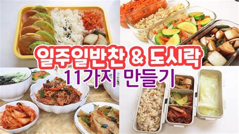 ENG 직장인도시락 일주일반찬 가지 만들기 편하게 만들어 드세요 YouTube