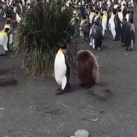 Mujahid Mohammed Posted On Linkedin