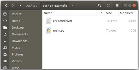 Скачать chromedriver для автоматизации Google Chrome в Python