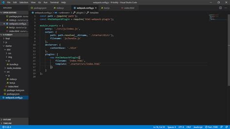 Npm Config Set User Secretdad