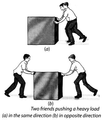 NCERT Solutions For Class 8 Science Chapter 11 Force And Pressure 2022