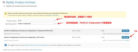 Idea 手动下载安装数据库驱动，idea无法下载数据库驱动问题解决方案，idea无法连接数据库解决方案（通用，oracle为例）idea连接oracle数据库没有驱动 Csdn博客