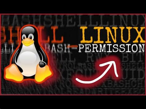 linux file permissions types of users rwx suid guid sticky bit
