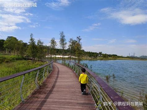 深圳遛娃好去处（1）宝安区石岩湖公园和俯仰之间公园，带你寻找孩子的乐趣 知乎
