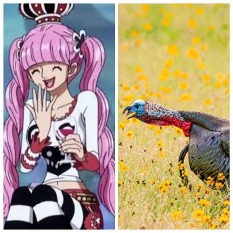 I Dont Know About You Guys But They Sound The Same To Me R MemePiece