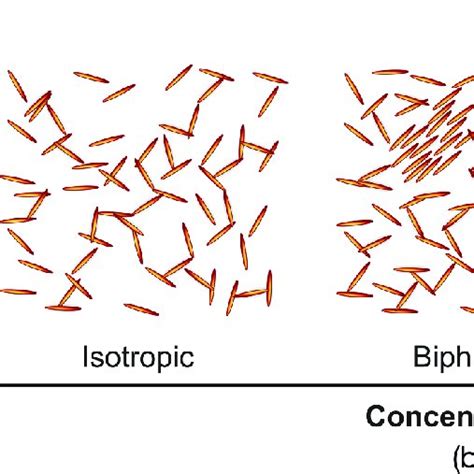 Space Time Visualization Of Thixotropy Recovery Tests In The Three Download Scientific Diagram