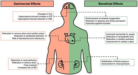 The Heart 🔴beyond The Lungs Extrapulmonary Effects Of Non Invasive And Invasive Ventilation