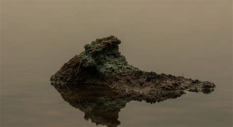 Differentiate Between Point Source And Nonpoint Source Pollution In A