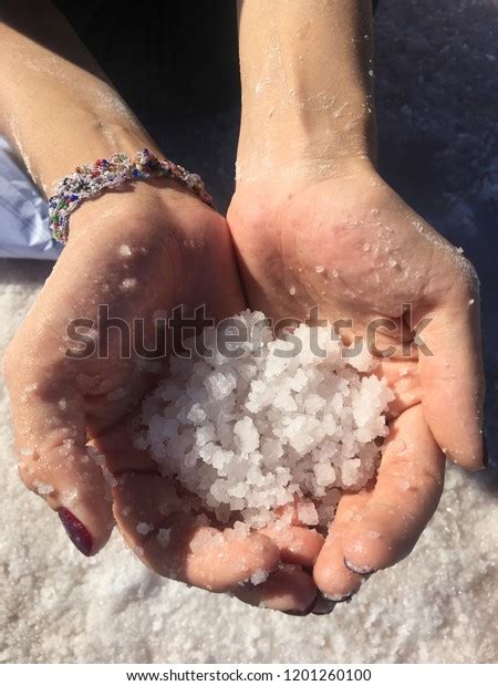 Tamara lovely портфолио стоковых фотографий и изображений Shutterstock