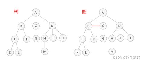 数据结构与算法12：图、广度优先、深度优先图广度优先 Csdn博客